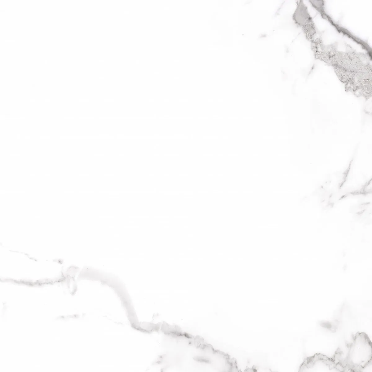 Керамогранит 60х60 белый Prime Ceramics Carrara
